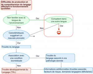 3.6. Bilinguisme précoce et troubles du langage oral : un lien de cause ...
