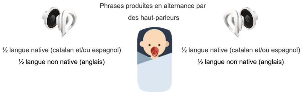 3.1. La découverte des sons de la langue – Bilinguisme et apprentissage ...