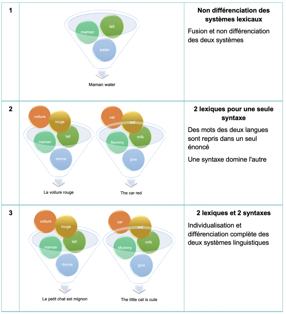 3.3. La combinaison des mots en phrases – Bilinguisme et apprentissage ...