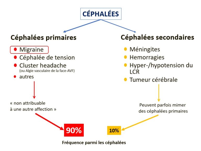 #1 « Docteur, est-ce que j’ai la migraine ou des céphalées ? » – # ...
